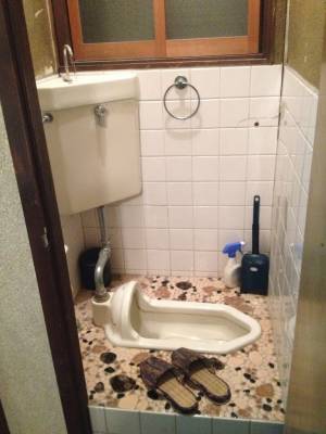 Pooping in Japan: An Intermediate Guide - Ten Thousand Shrines